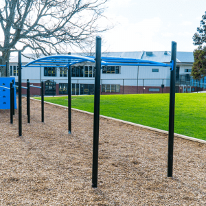 Curved overhead ladder - Park Supplies & Playgrounds
