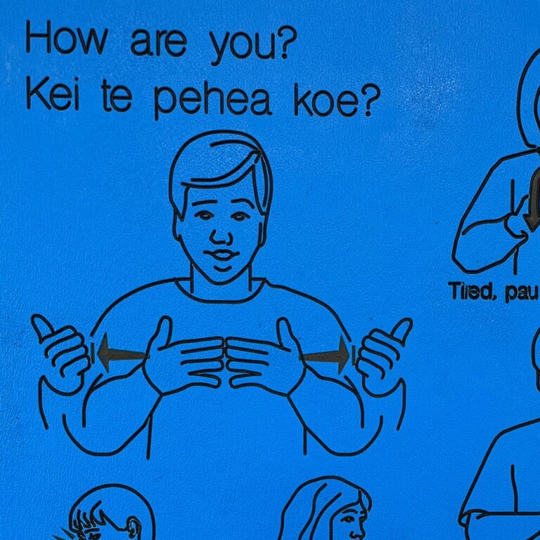 Sign Language "How Are You?" Panel
